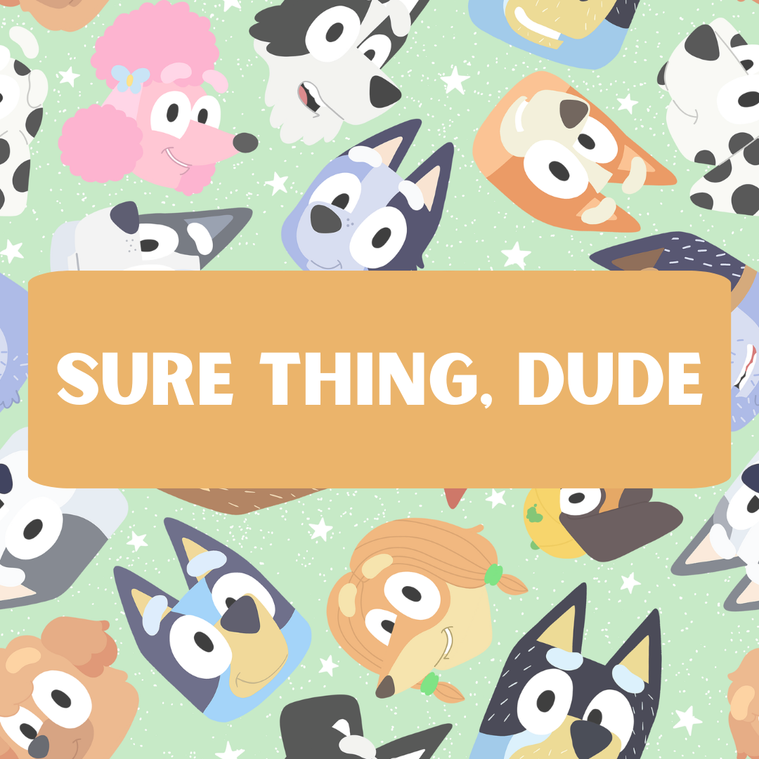 SURE THING, DUDE – Lolly & Laddie Boutique